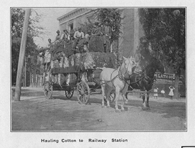 "Yorkville, SC City Schools Annual Report - Accession 1513 - M737 (794 ...